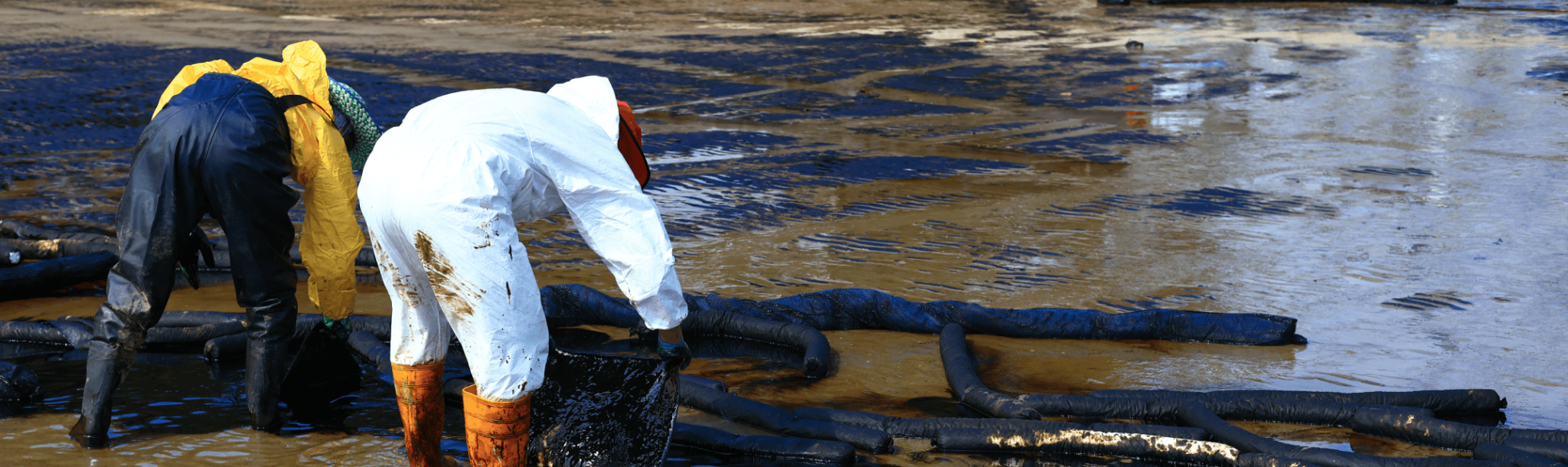 Soil & Water Remediation - PAL Services